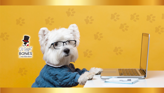 Contacto – magic bones